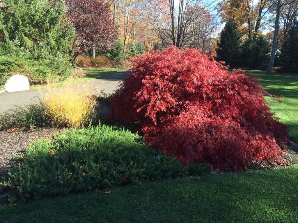 Planting - POPEL Landscaping and Design, LLC